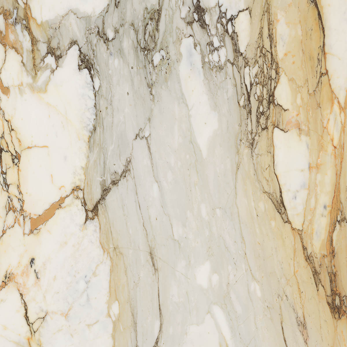 Bianco Calacatta Macchia Vecchia 90x90 cm (LP - Poleret) │ Colour ...